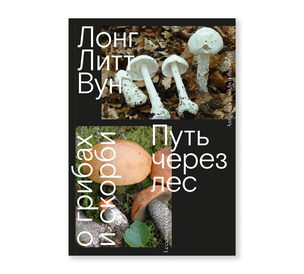 Выгон. Эми Липтрот - Ad Marginem - Купить