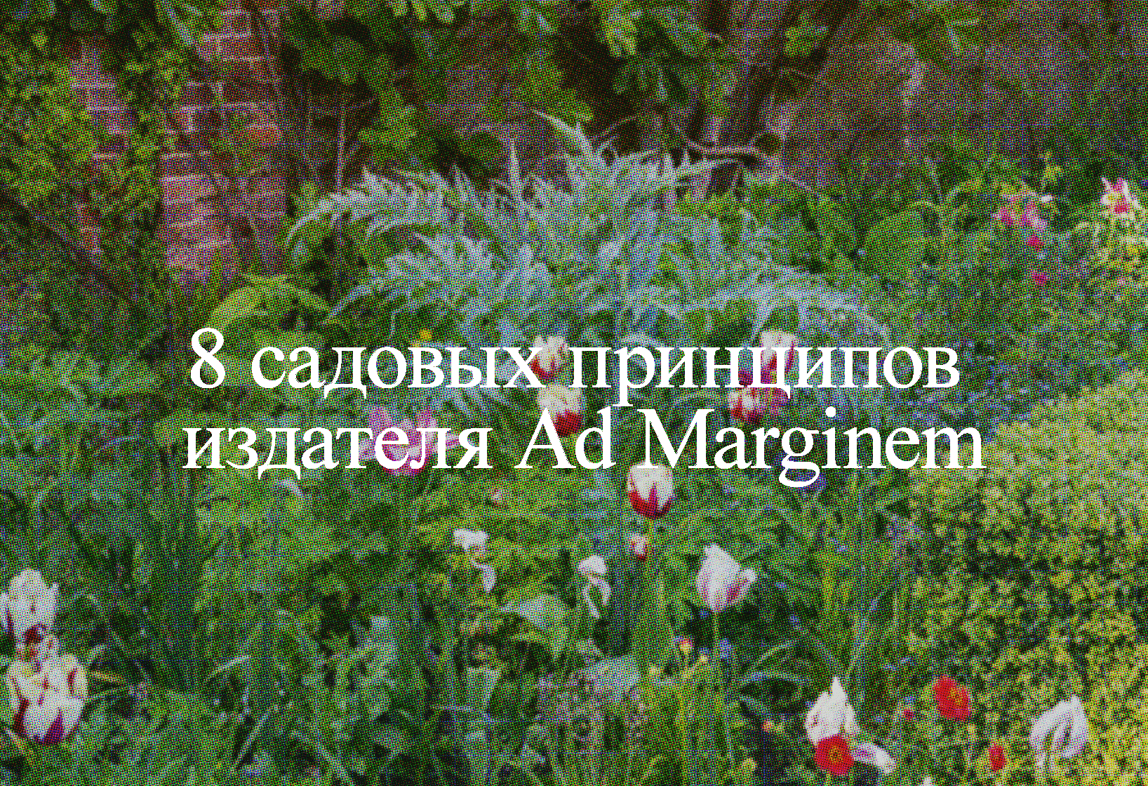 «Природа не терпит пустоты». 8 садовых принципов издателя Ad Marginem - Ad Marginem